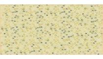 Reticulocyte Stain - Princess Scientific Services